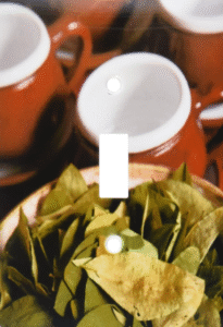 Peruvian Coca Tea : Ignite Your Andean Adventure 🌿